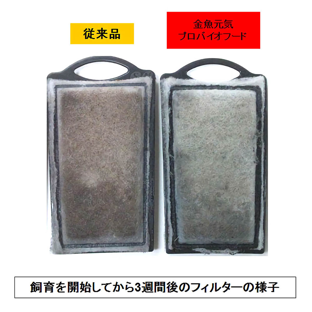 GEX 金魚元気プロバイオフレーク40gパック | ジョイフル本田 取り寄せ＆店舗受取