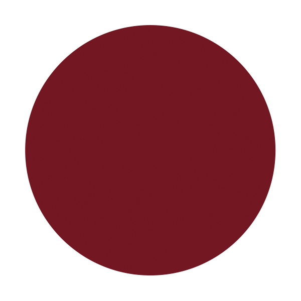 MJラツシユEXPL EX RD505 6g | ジョイフル本田 取り寄せ＆店舗受取